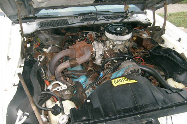 June 2010 Spotlight - 1980 Special Edition Turbo Trans Am of Bob Ries